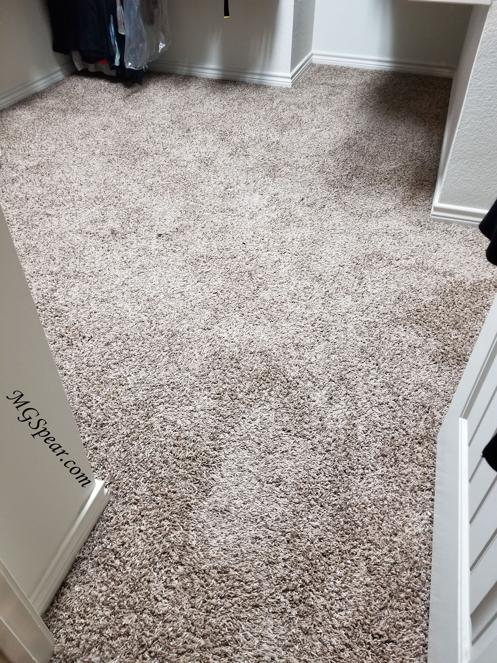 Operation: Carpet Be Gone - Wrath of Kitties Art & Writing